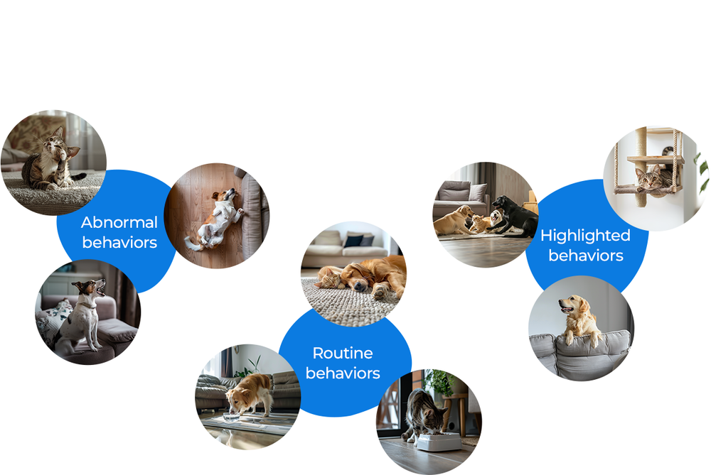 SiiPet AI Pet Camera