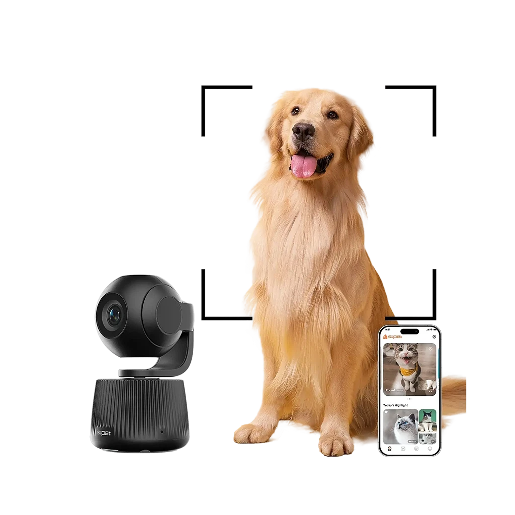 PawTrack Camera - Effortlessly Stay Connected to Your Pet's World
