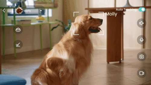 SiiPet AI Pet Camera – SIIPET