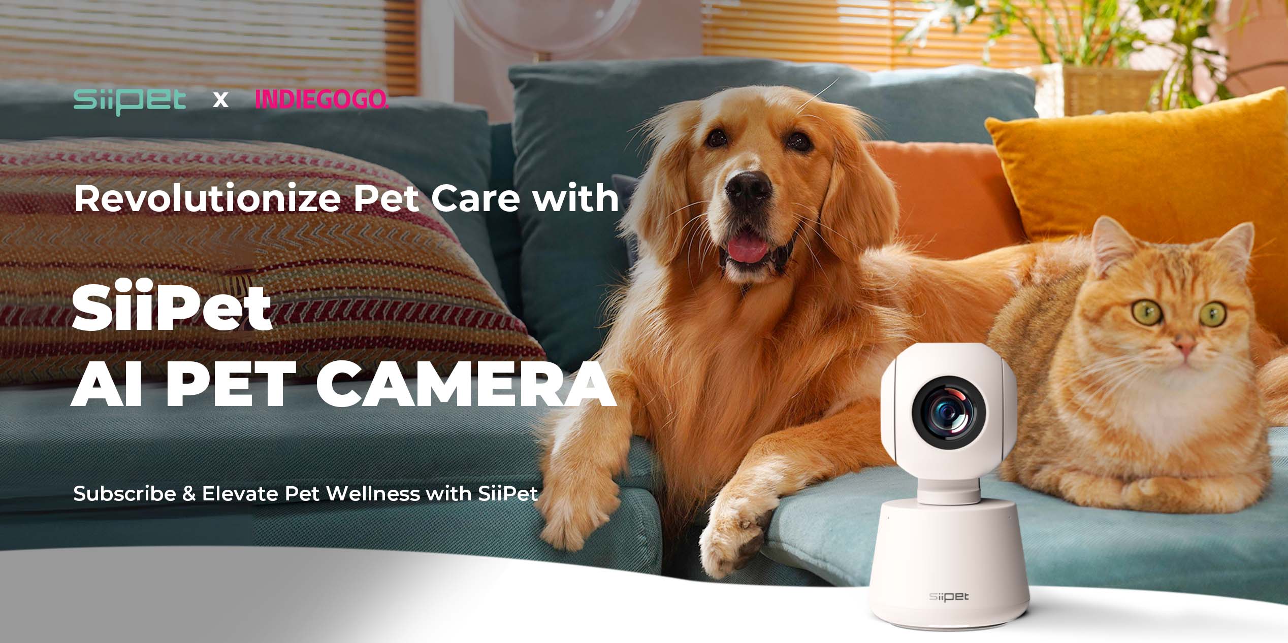 SiiPet AI Pet Camera