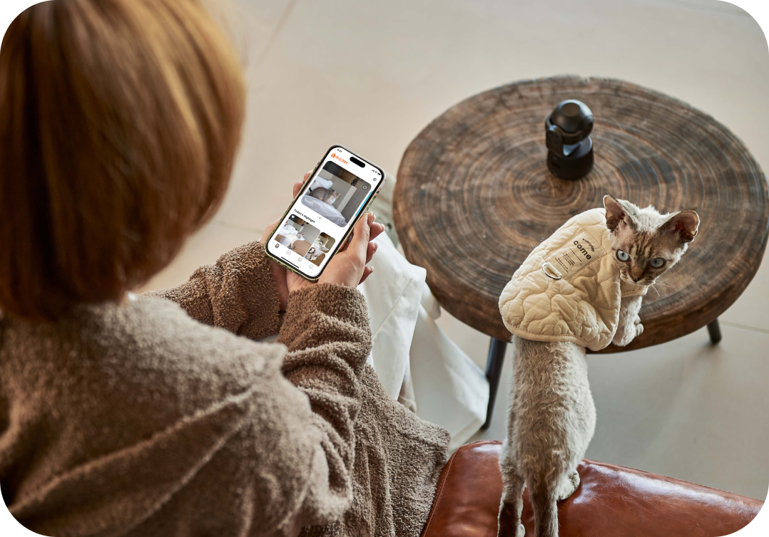 SiiPet AI Pet Camera – Siipet Store